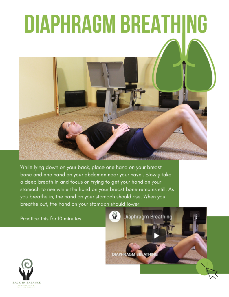 E-Books - Back In Balance