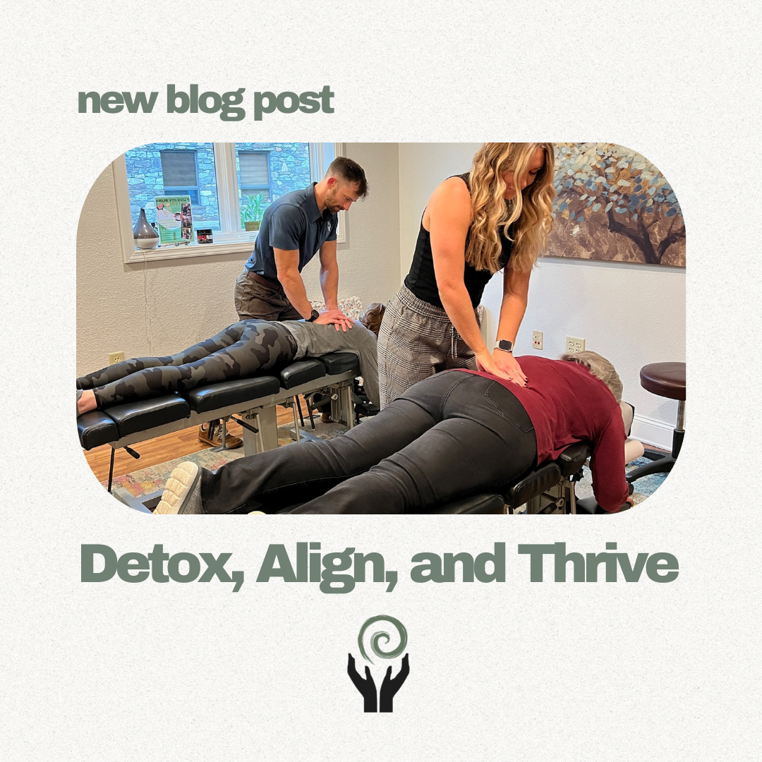 Detox, Align, and Thrive | Back In Balance