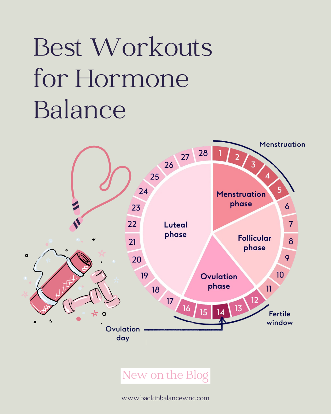 Hormones & Exercise: The Best Workouts for Hormone Balance | Back In ...