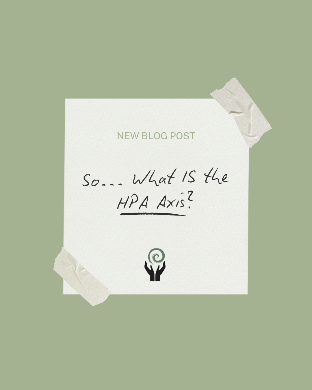 So... What Is the HPA Axis? | Back In Balance